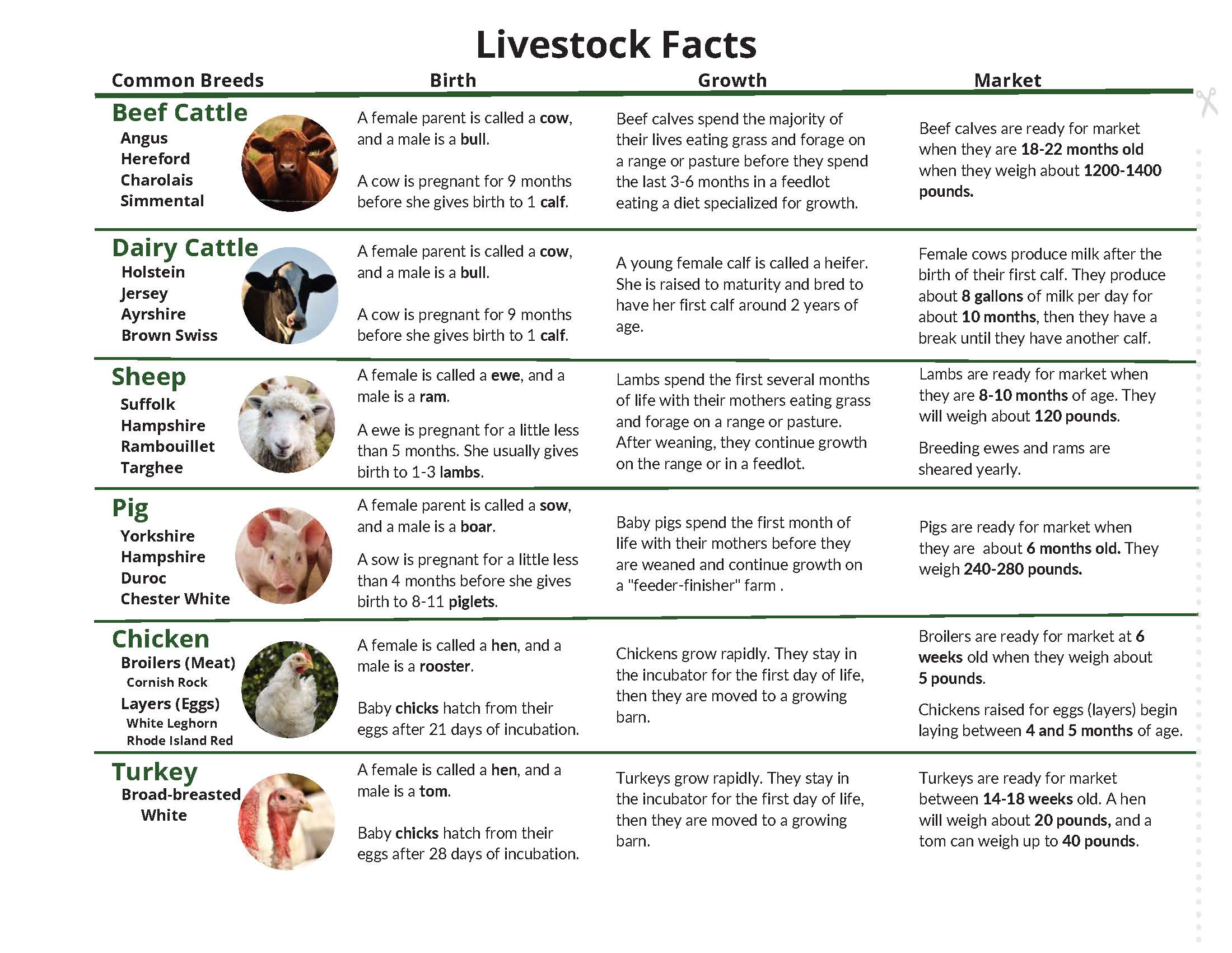 Livestock Flowchart – Curriculum Matrix | National Agriculture in the ...
