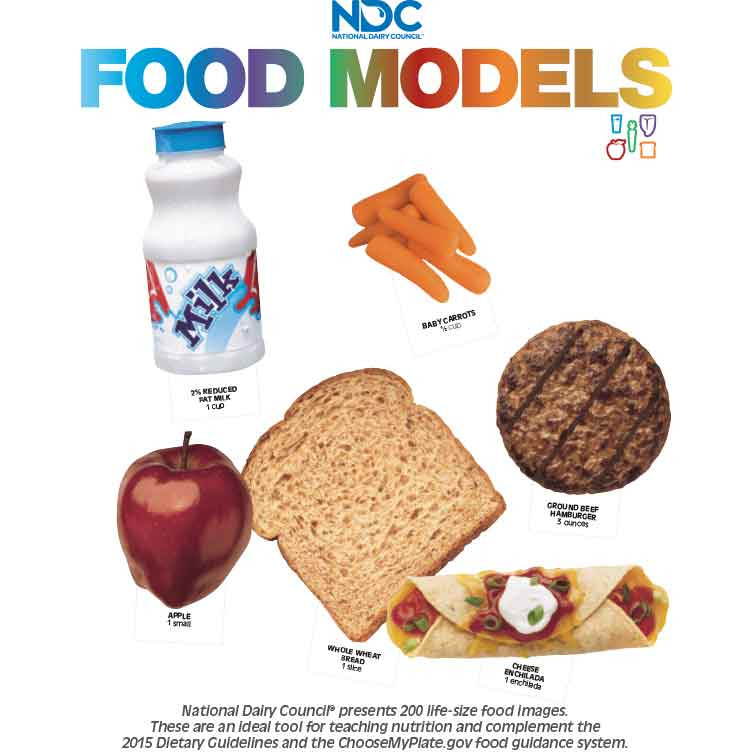 Food Models – Curriculum Matrix | National Agriculture in the Classroom