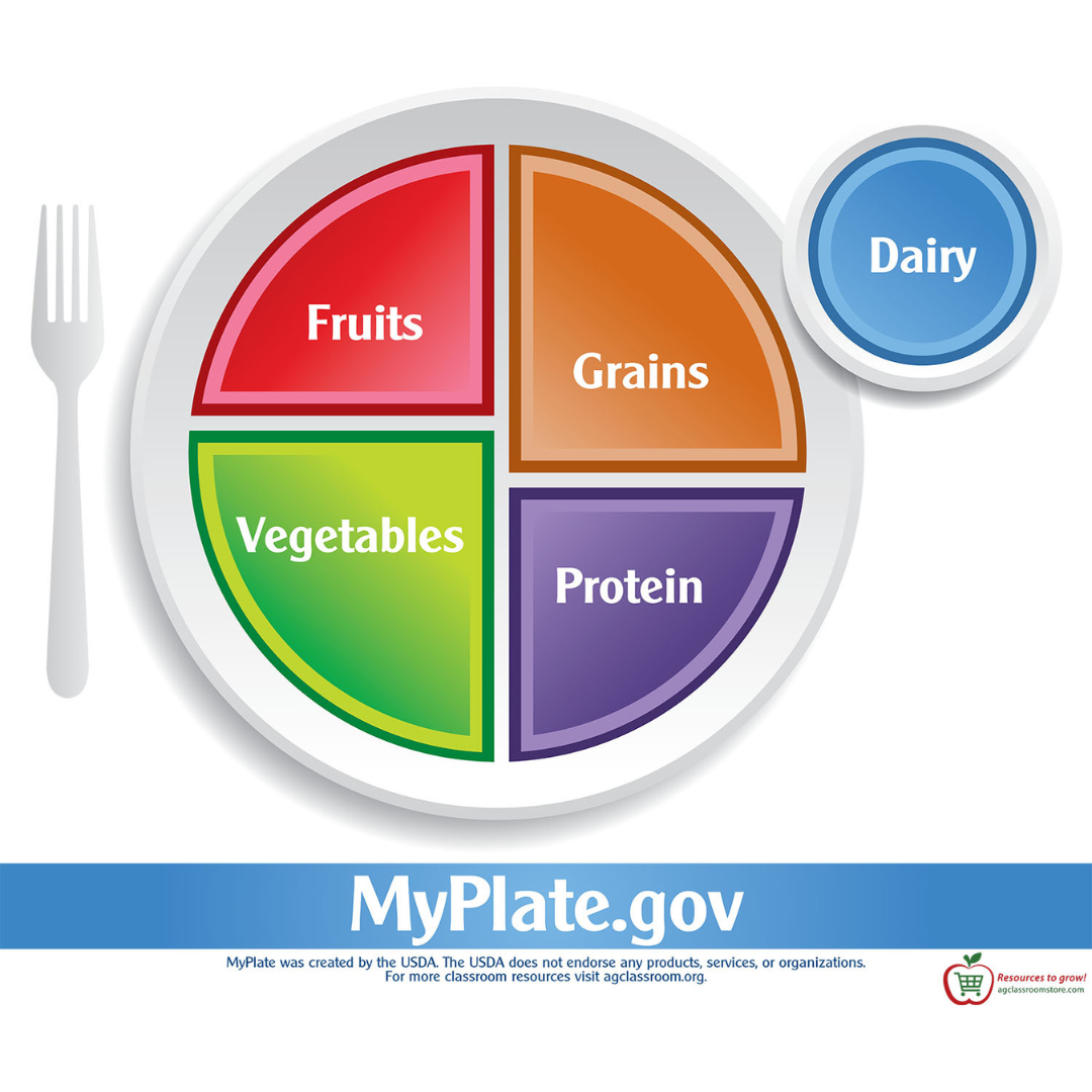 MyPlate Activity Poster – Curriculum Matrix | Michigan Agriculture in ...