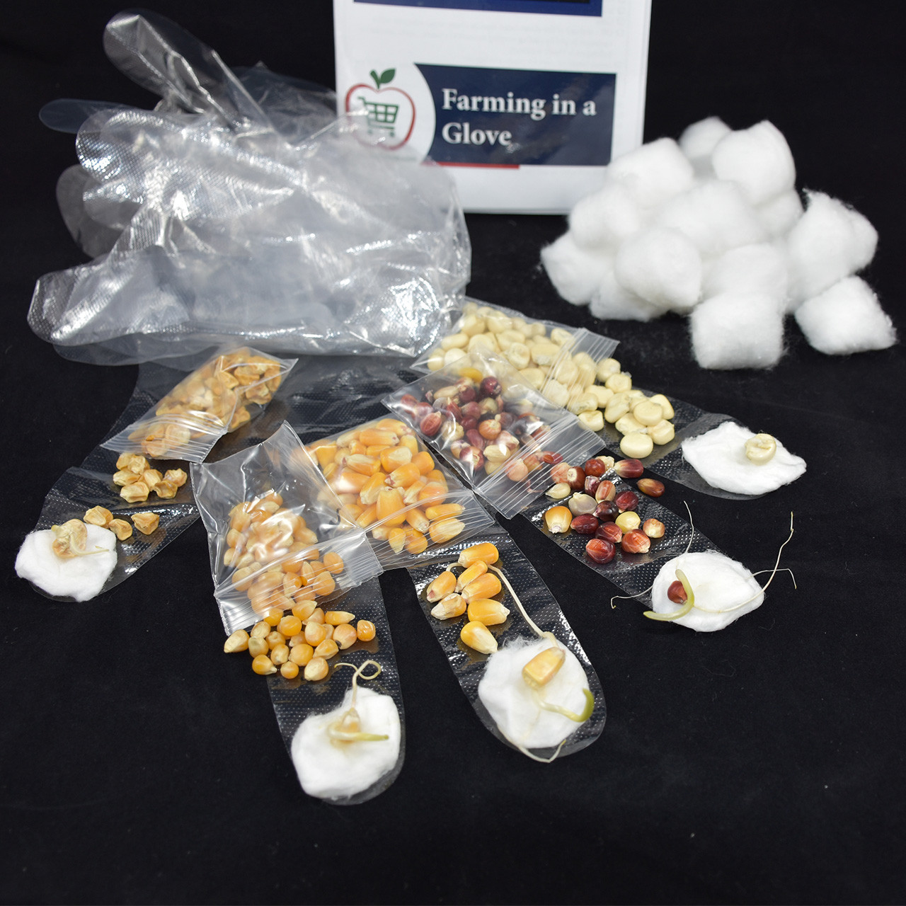 Farming in a Glove (Corn Seeds) – Curriculum Matrix | National ...