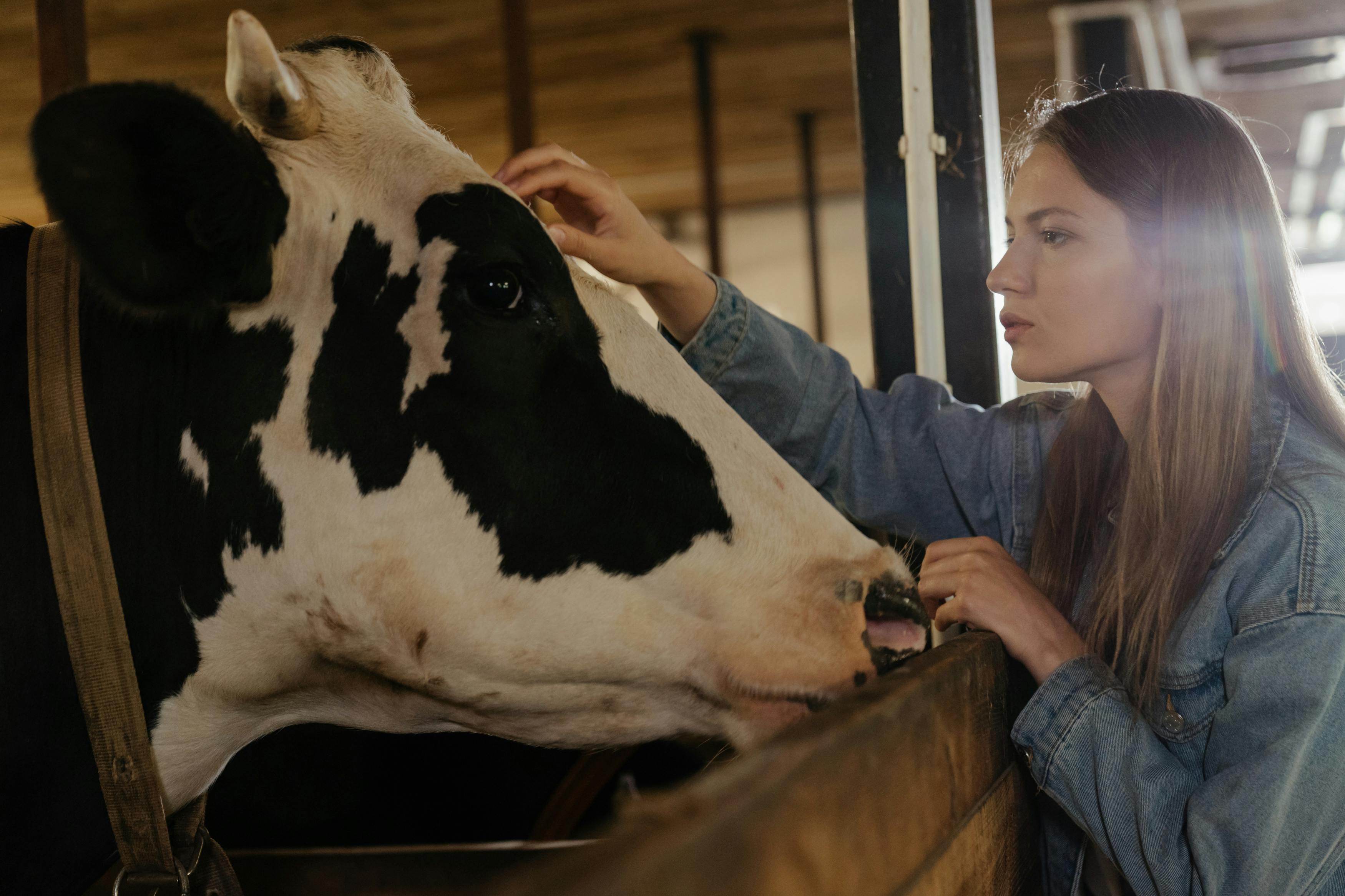 Survival of the Fittest: Comparing the Needs of Humans and Cows ...