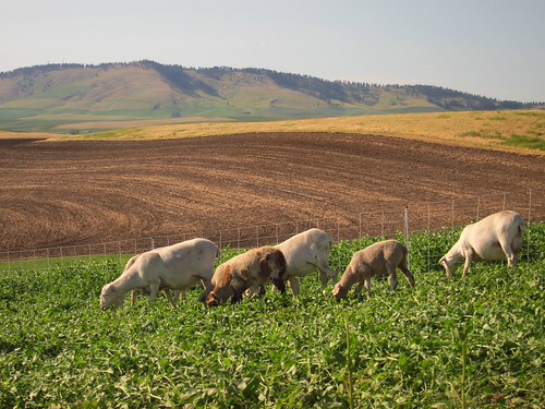 Curriculum Matrix | National Center for Agricultural Literacy