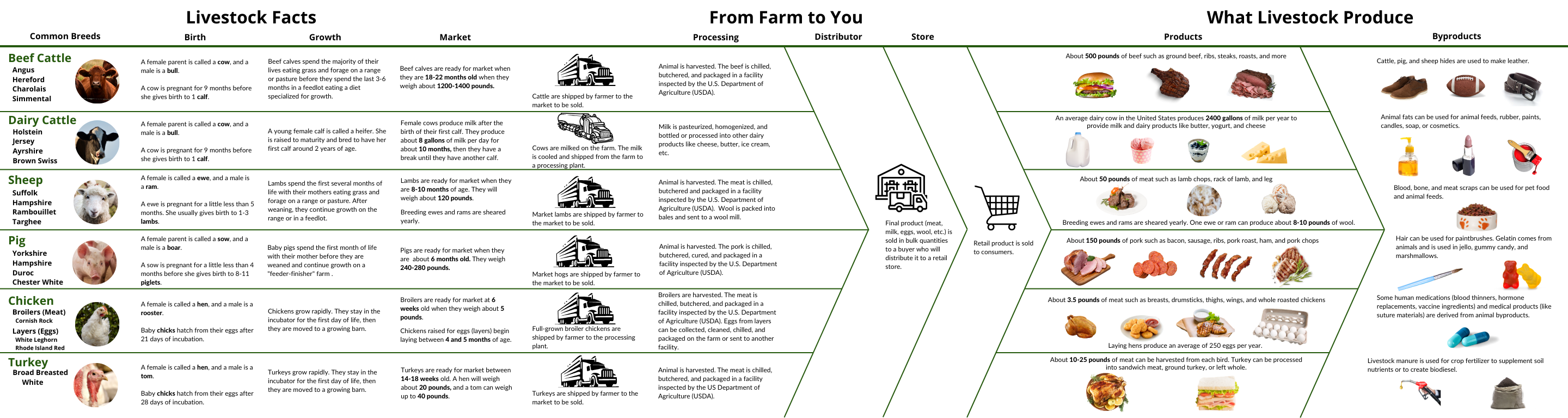 The Environmental Footprint of Livestock – Curriculum Matrix | National ...