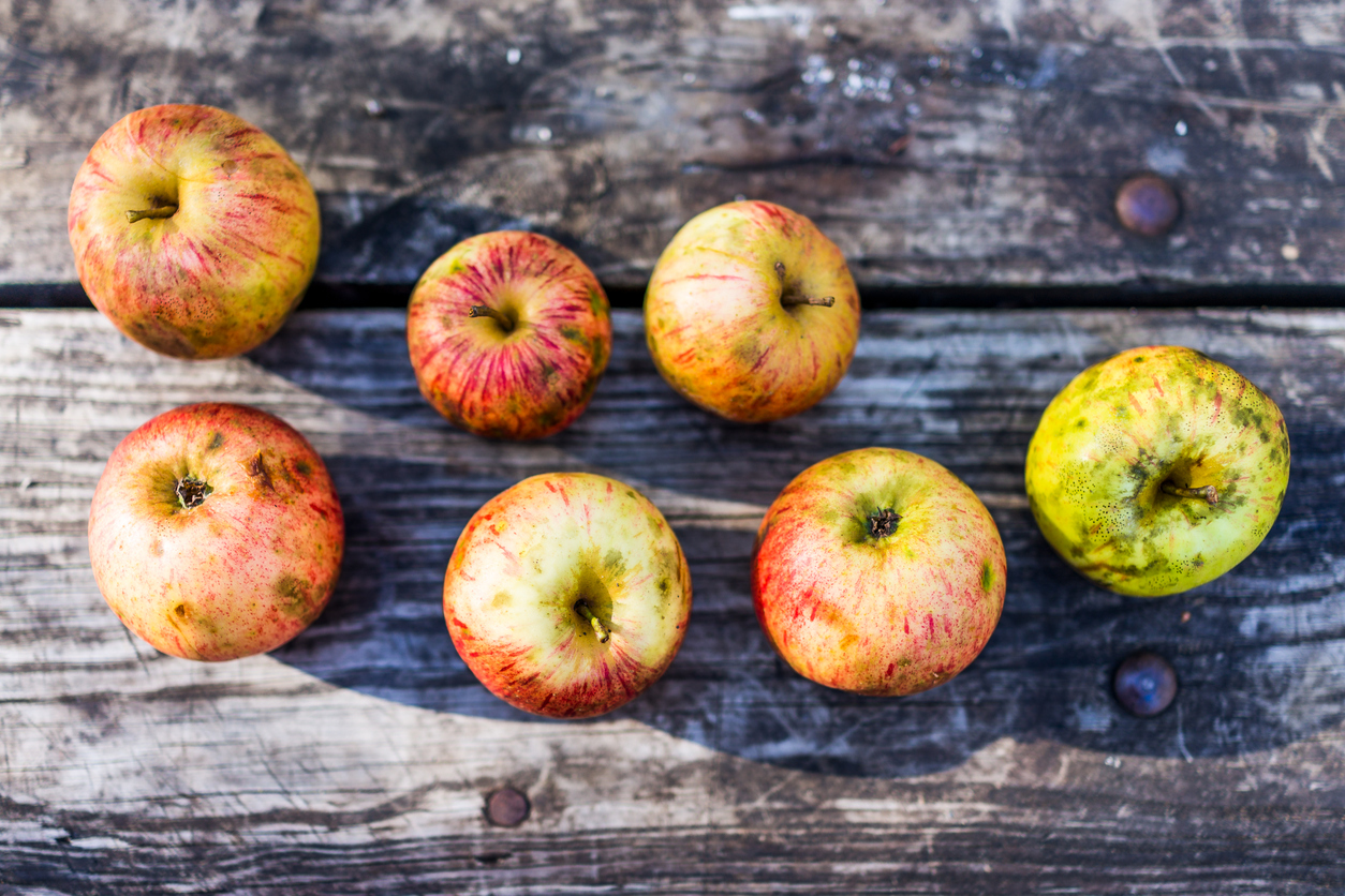 Lessons – Curriculum Matrix | Kansas Foundation for Agriculture in the ...