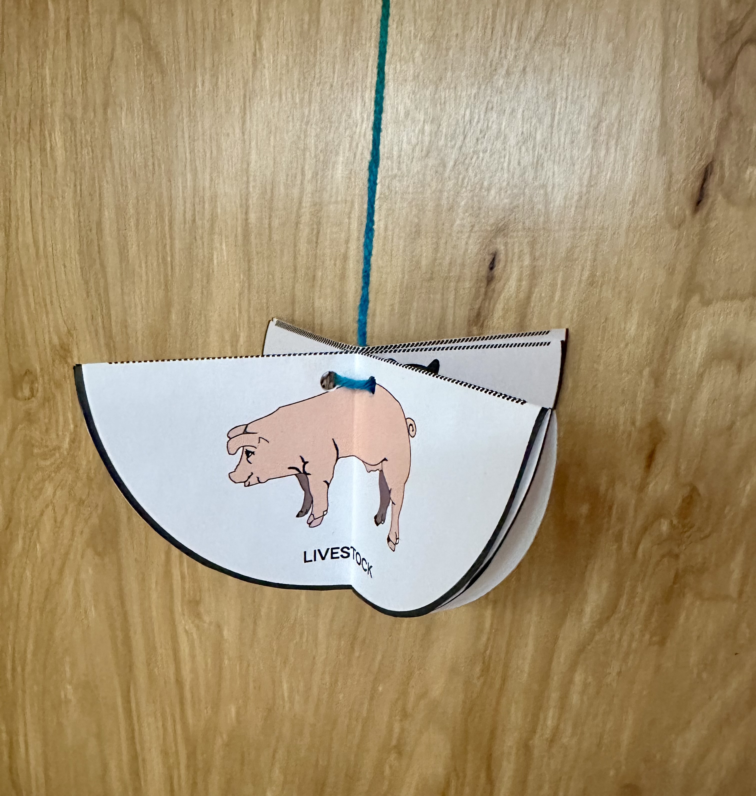 Categorizing Animals – Curriculum Matrix | Utah Agriculture in the ...