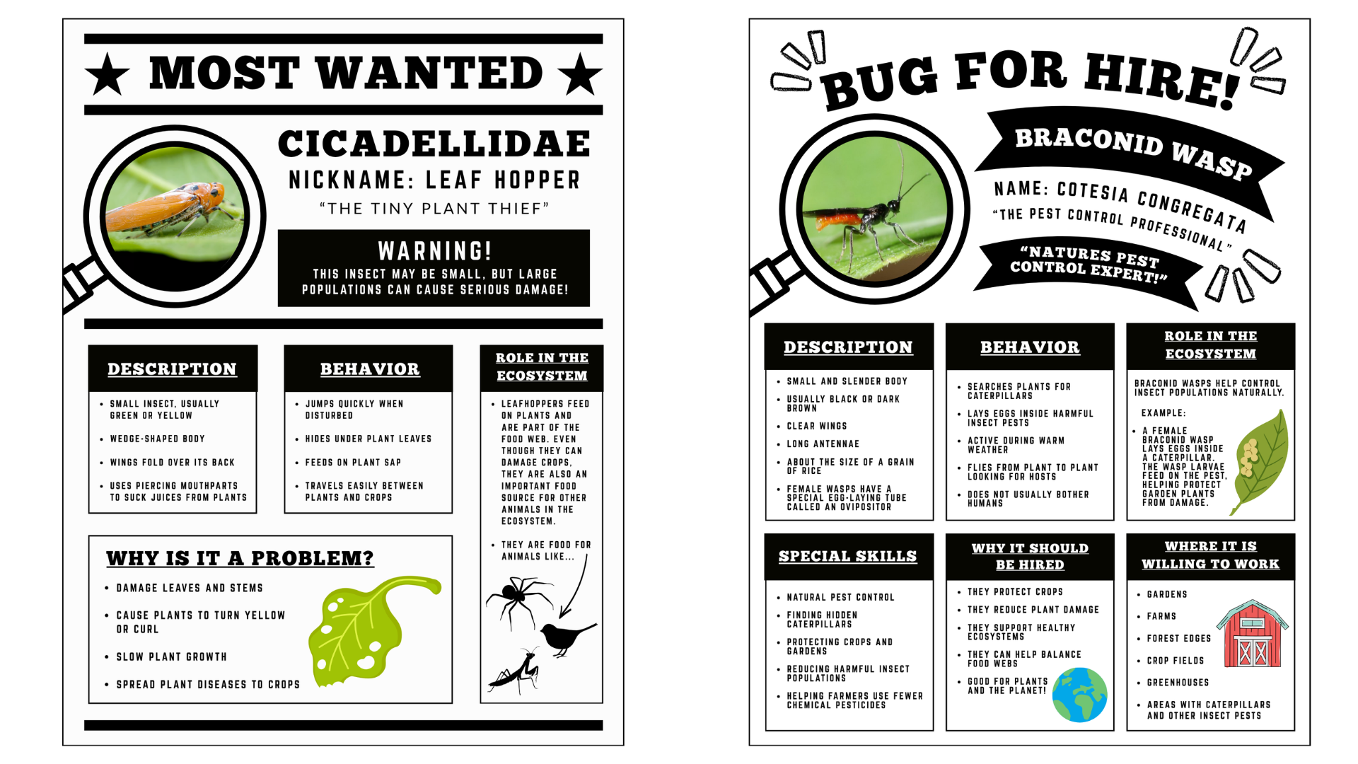 Good Bugs Bad Bugs – Curriculum Matrix | National Agriculture in the ...