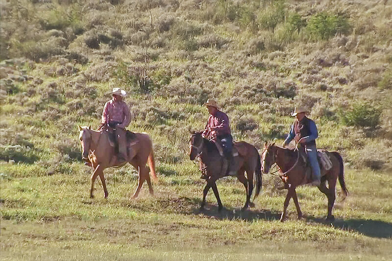 America's Heartland: Riding the Range on a Utah Cattle Drive ...