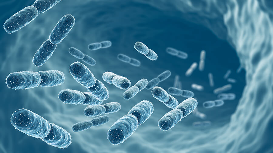 Hands Off, Bacteria! – Curriculum Matrix | Michigan Agriculture in the ...