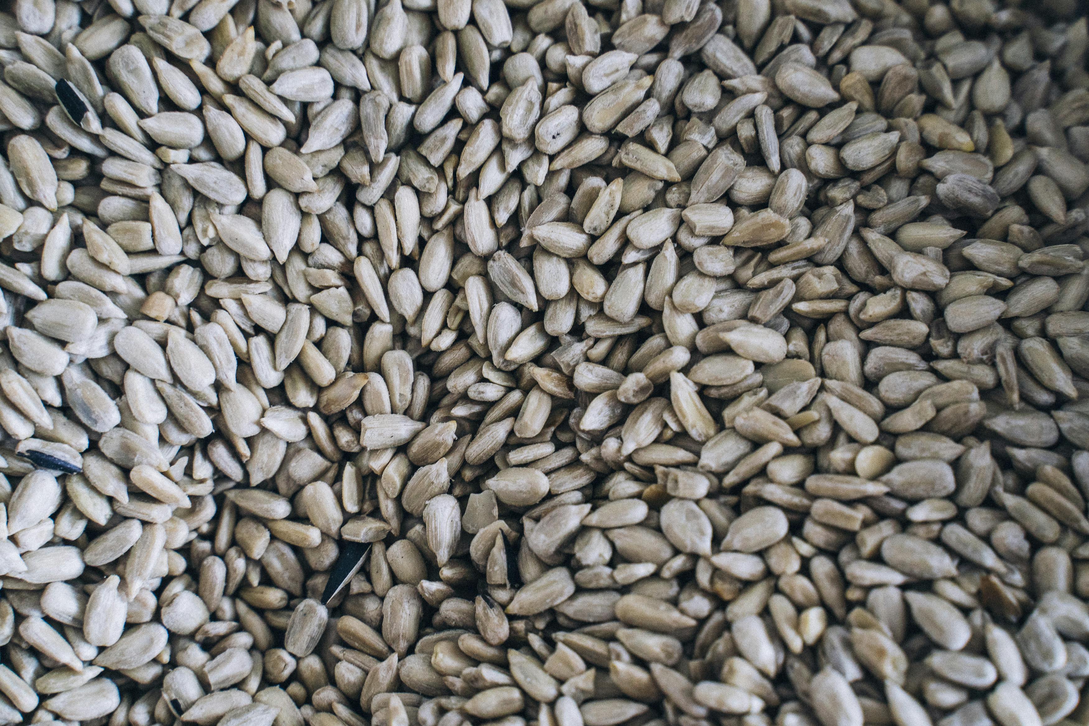 The Seed Match – Curriculum Matrix | Kansas Foundation for Agriculture ...